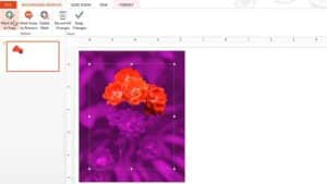 How to Remove Background from Picture in PowerPoint?